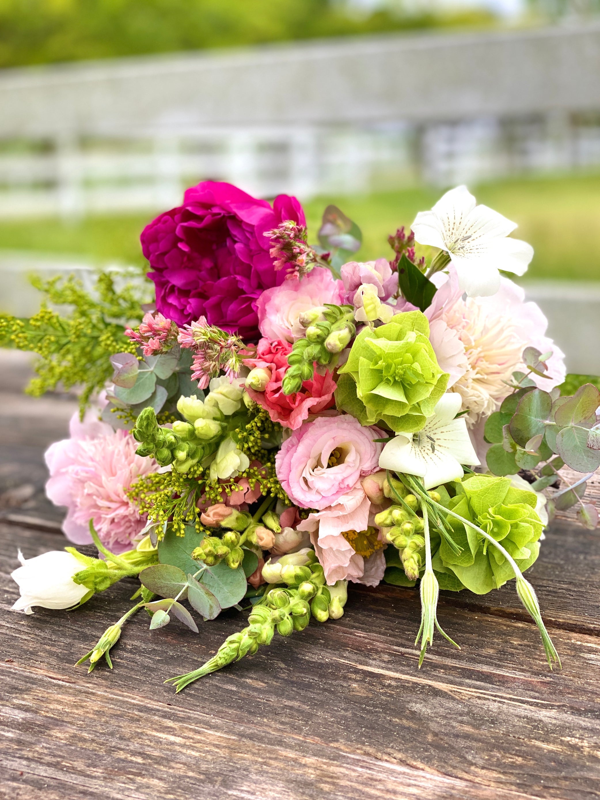 The Nested Fig Garden – The Nested Fig Garden